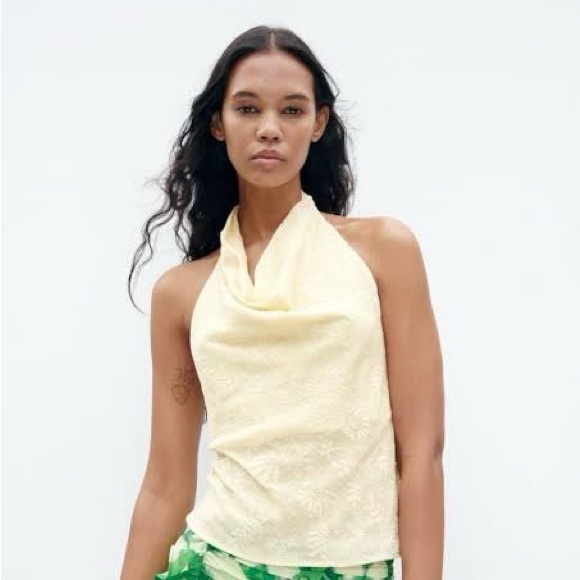 Zara | Tops | Zara Nwt Embroidered Halter Top With Open Back Cowl Neck ...
